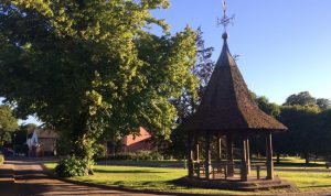 Home - Balsham Village Website