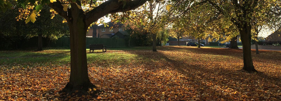 Balsham Village Website – Cambridgeshire