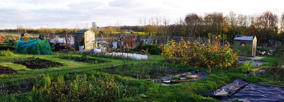 Balsham Village Website – Cambridgeshire